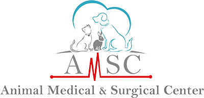 Zettatech | Odoo ERP Myanmar | Odoo Sliver Partner